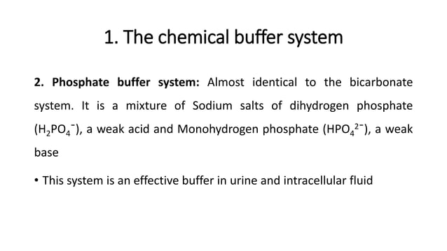 Body buffers and acid base balance.pptx | Chemistry | Science