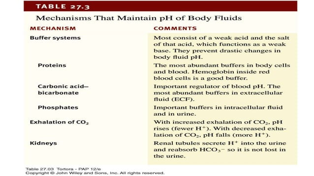 Body buffers and acid base balance.pptx | Chemistry | Science