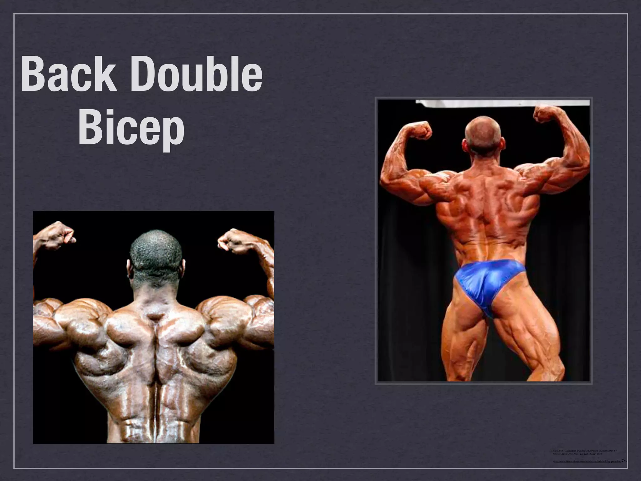 Bodybuilding101 SGP Slides | PPT