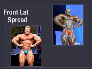 Arnold Front Lat Spread