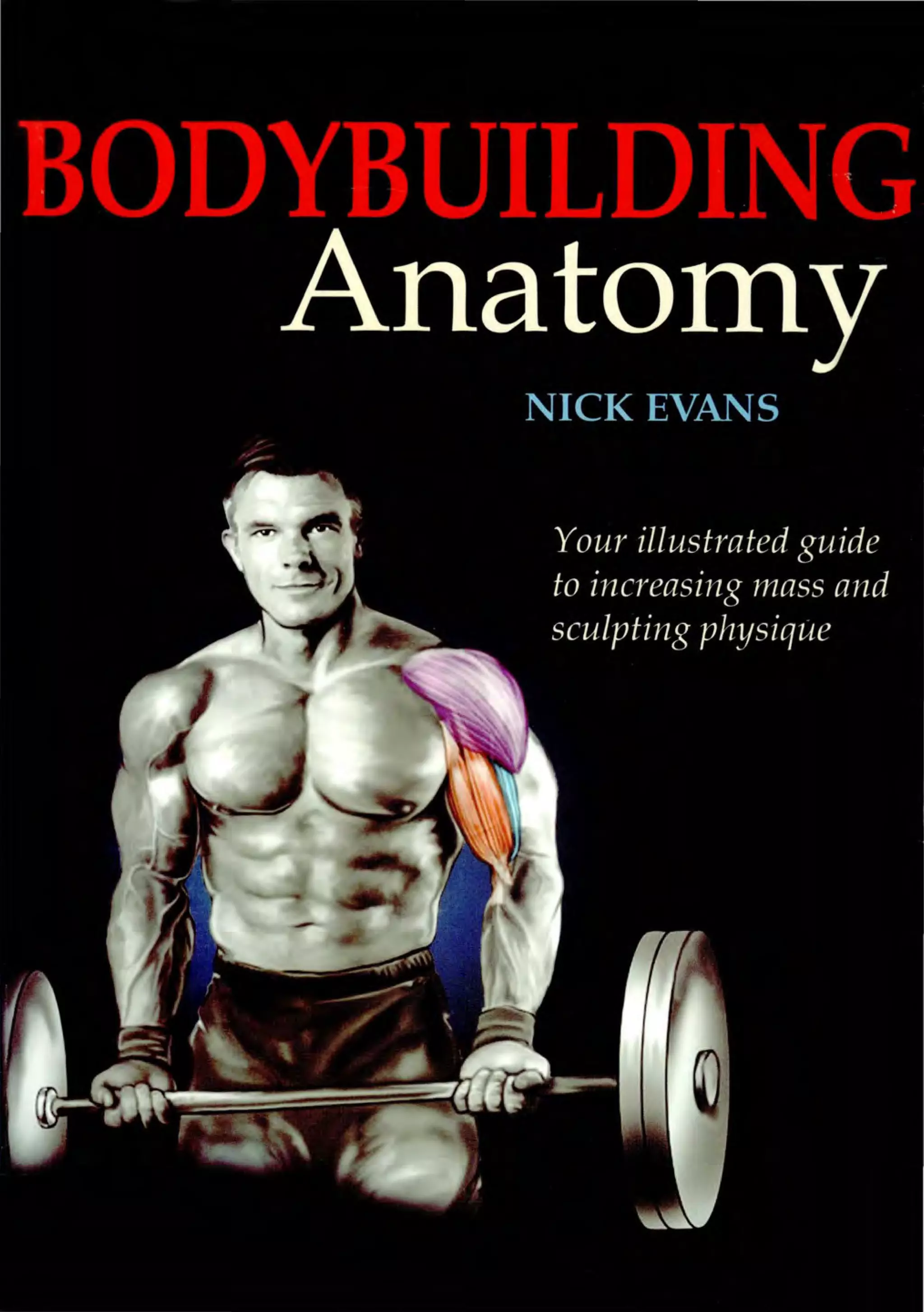 Bodybuilding anatomy | PDF