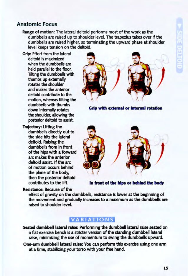 Bodybuilding anatomy | PDF | Physical Therapy | Wellness