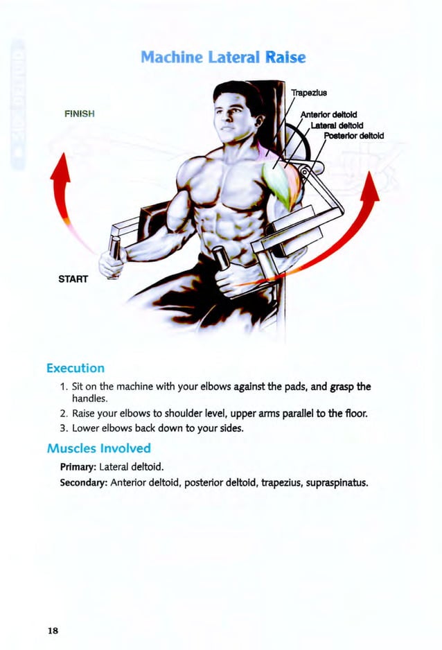 Bodybuilding anatomy | PDF | Physical Therapy | Wellness