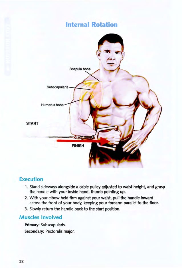 Bodybuilding anatomy | PDF | Physical Therapy | Wellness