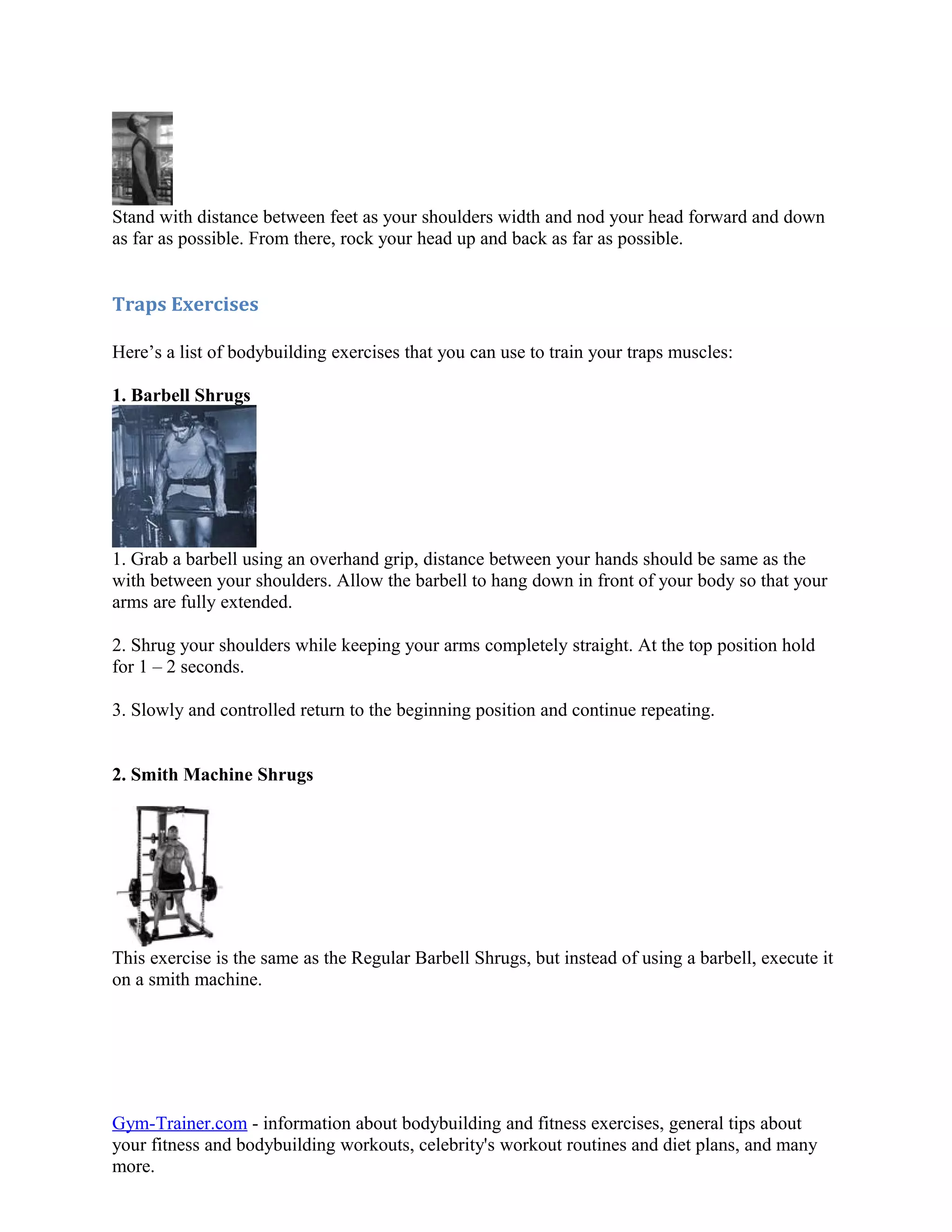 Bodybuilding Exercises | PDF