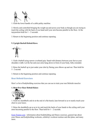 Bodybuilding Exercises | PDF
