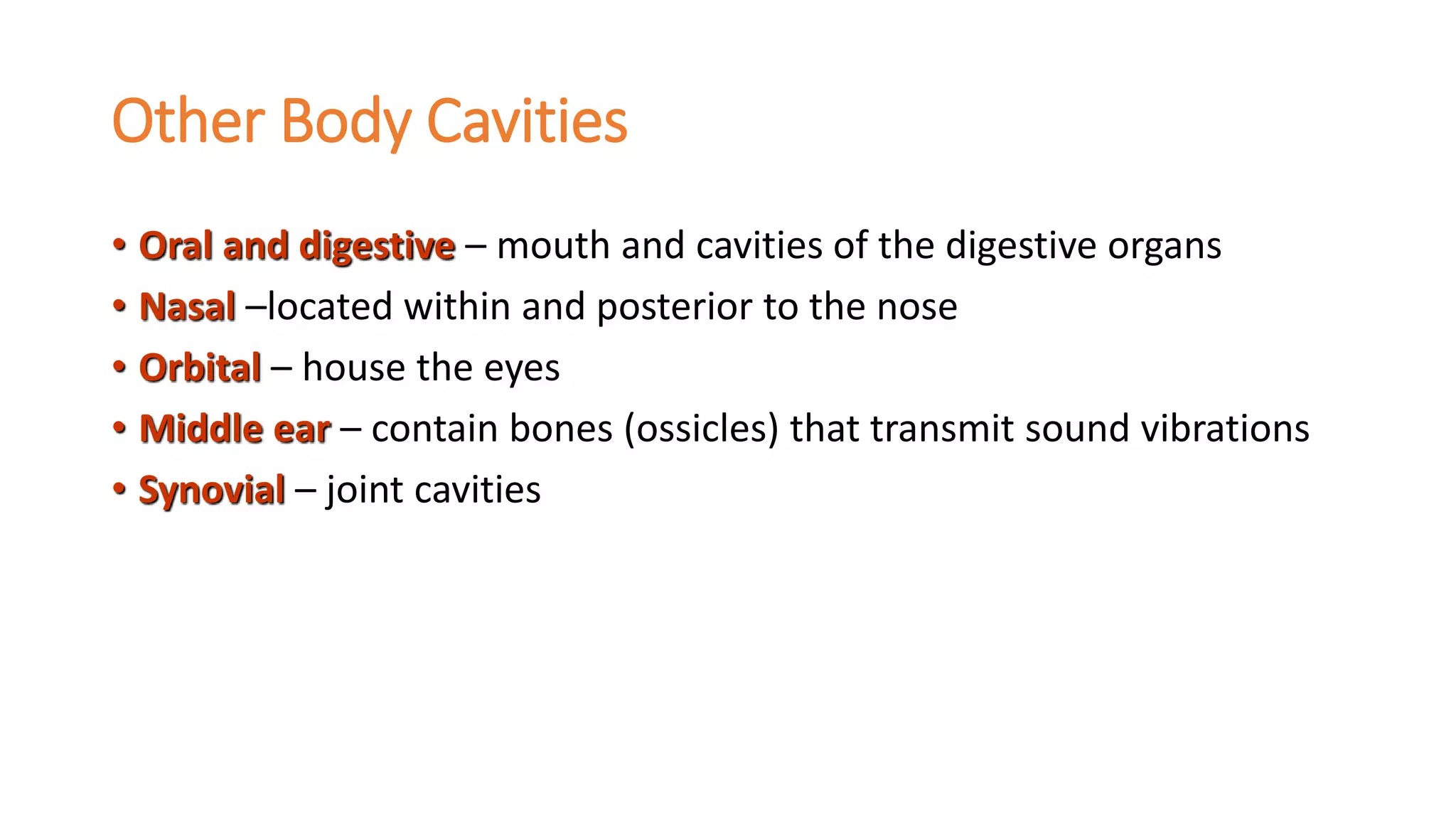 Body cavities | PPTX