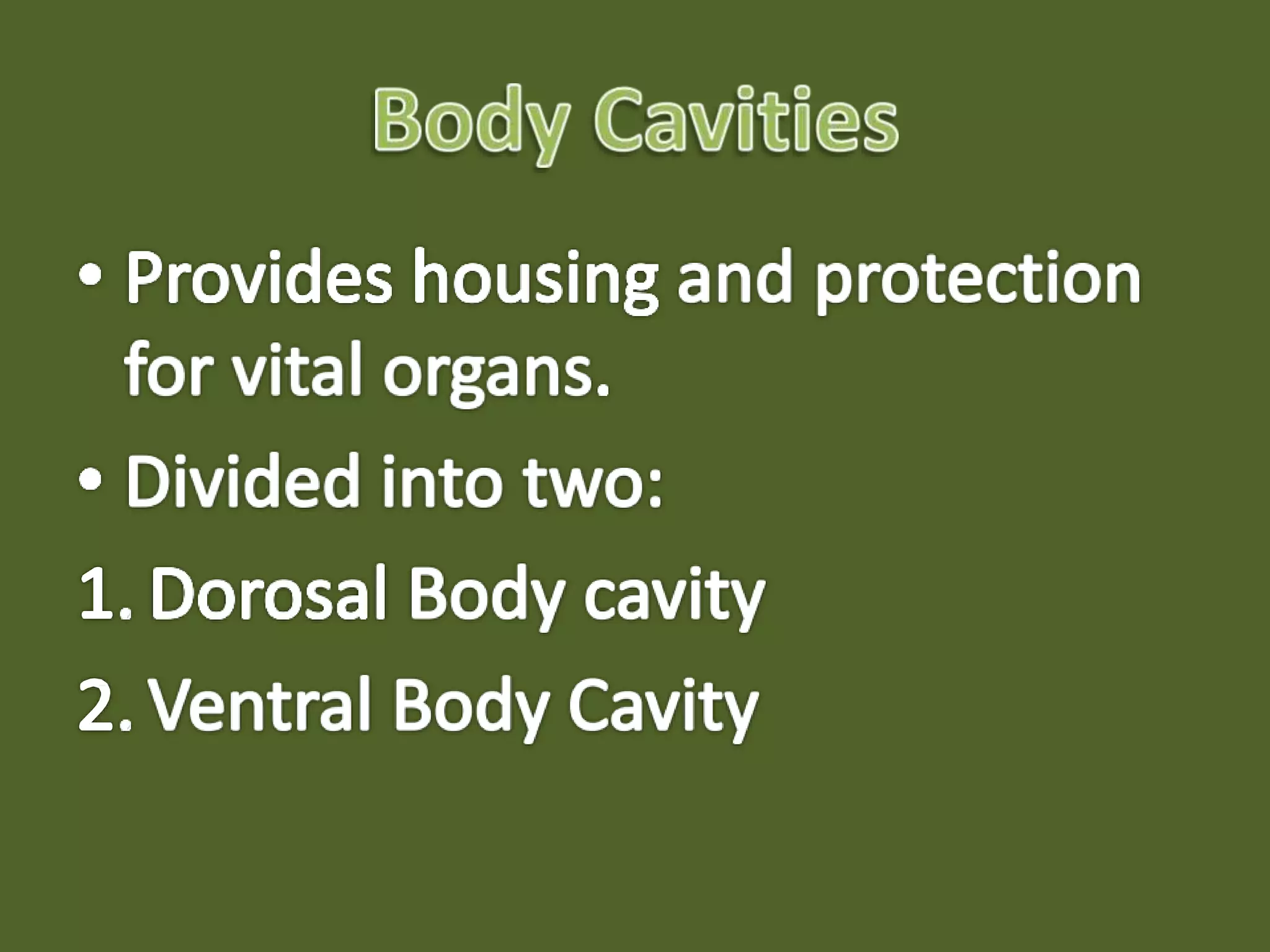 body cavities.pptx