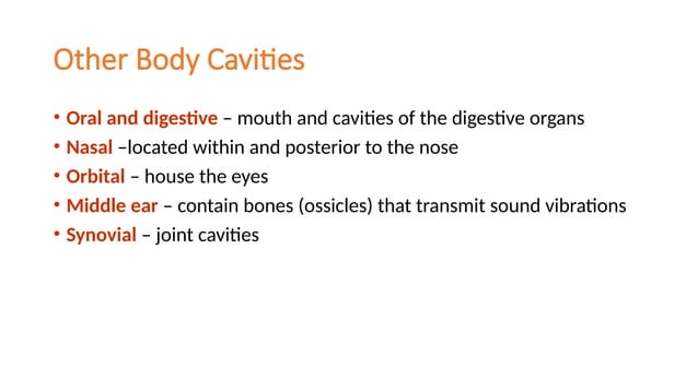 Body Cavities, abdominal regions and quadrants-1.pptx