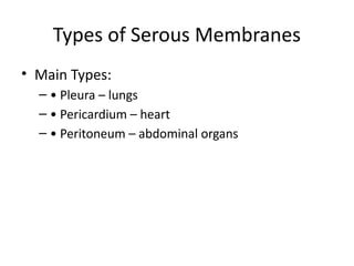 Body_Cavities_and_Serous_Membranes_ pptx | PPTX