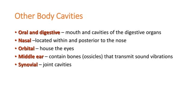 Body Cavities Powerpoint.pptx