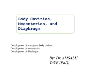embryology body cavity & diaphragm (AT).pdf