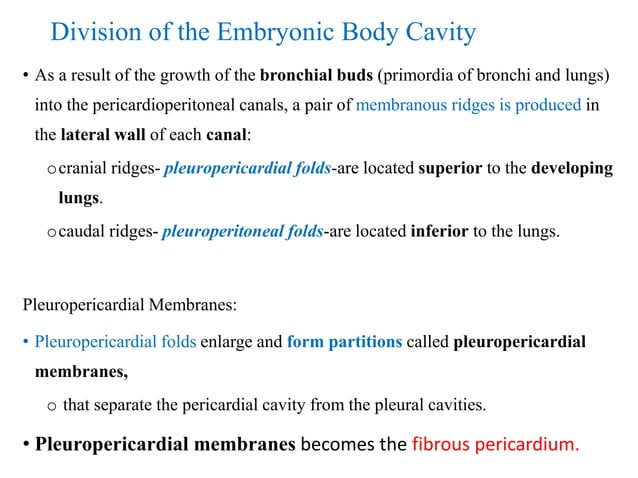 embryology body cavity & diaphragm (AT).pdf
