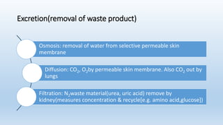 Body chemical operated process plant | PPT