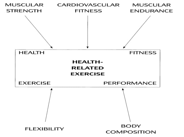Body composition | PPT
