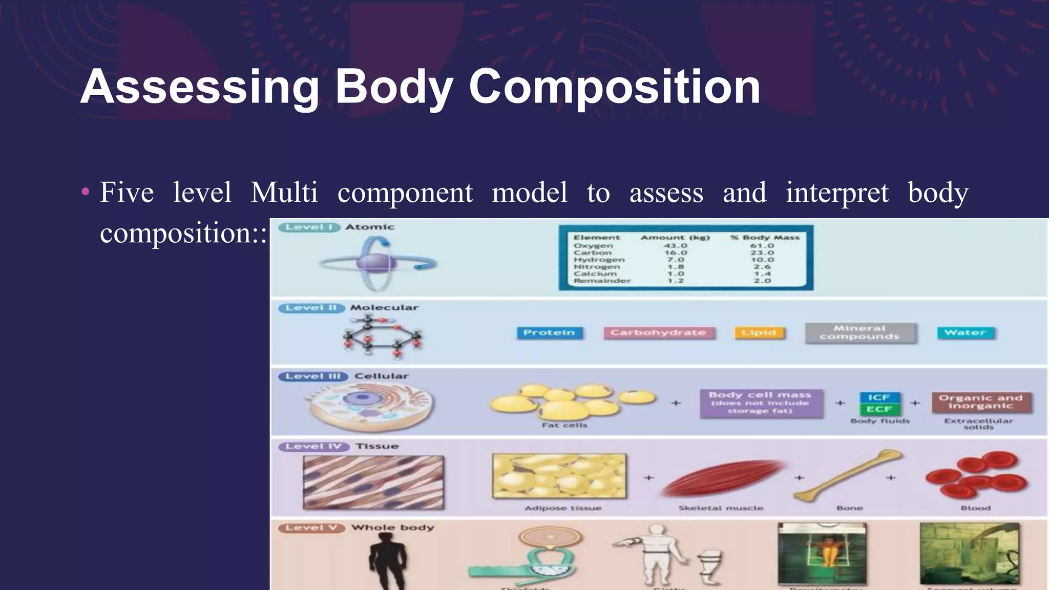 Body composition | PPTX