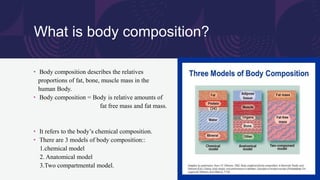 Body composition | PPTX