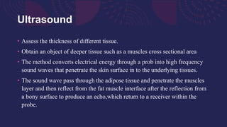 Body composition | PPTX