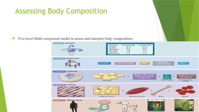 bodycomposition-210723184558 star presentation.ppt