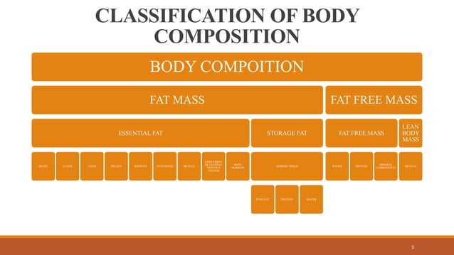 BODY COMPOSITION.pptx