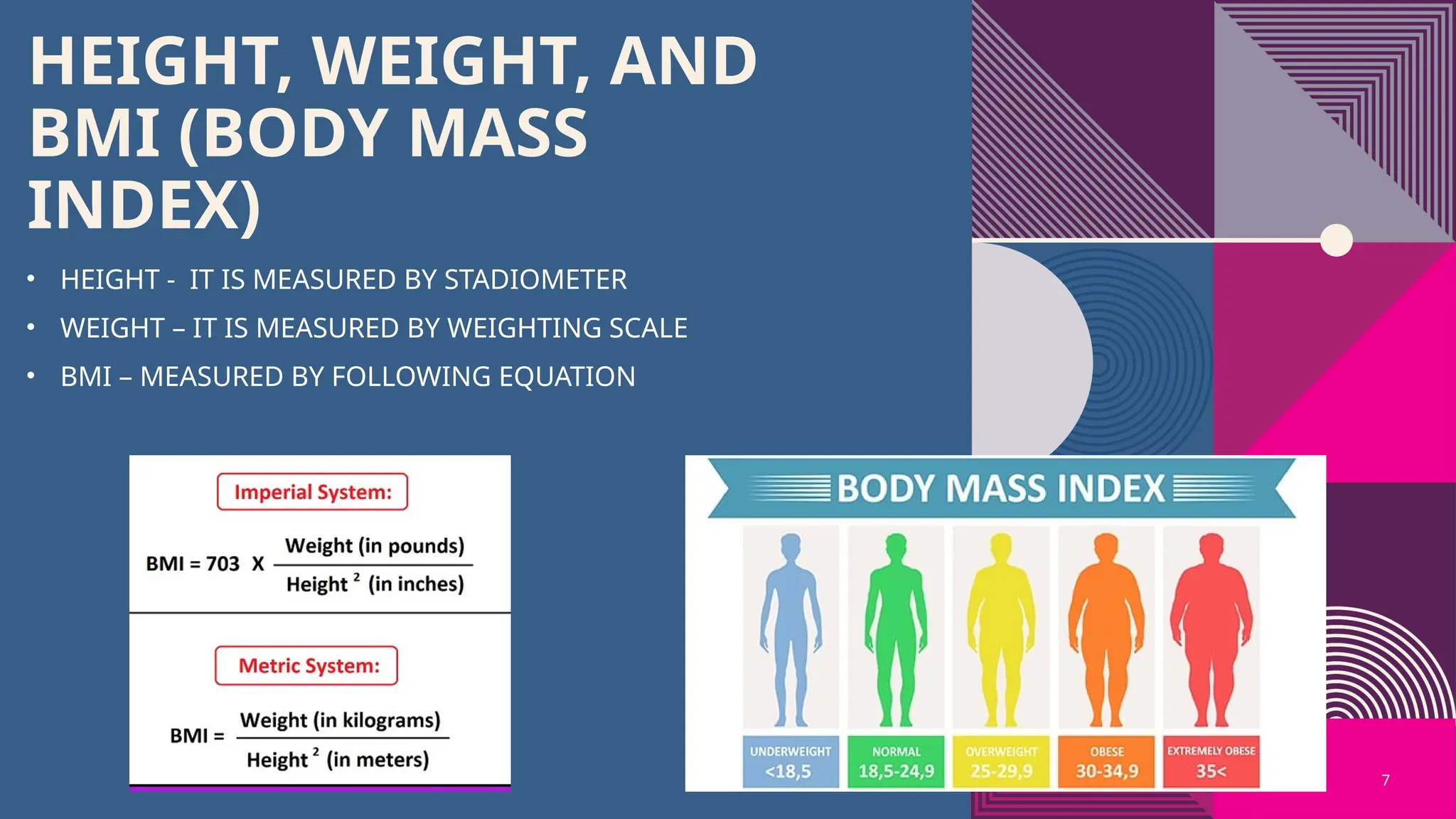 Body Composition Obesity Anatomy And More Ppt Free Download