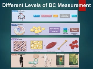 Body composition analysis | PPTX