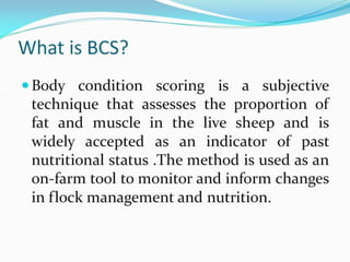 Body condition score | PDF