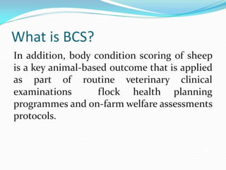 Body condition score | PDF