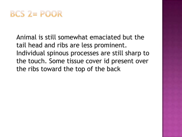 Body condition score 3 | PPTX | Bodybuilding | Sports