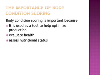 Body condition score 3 | PPTX | Bodybuilding | Sports