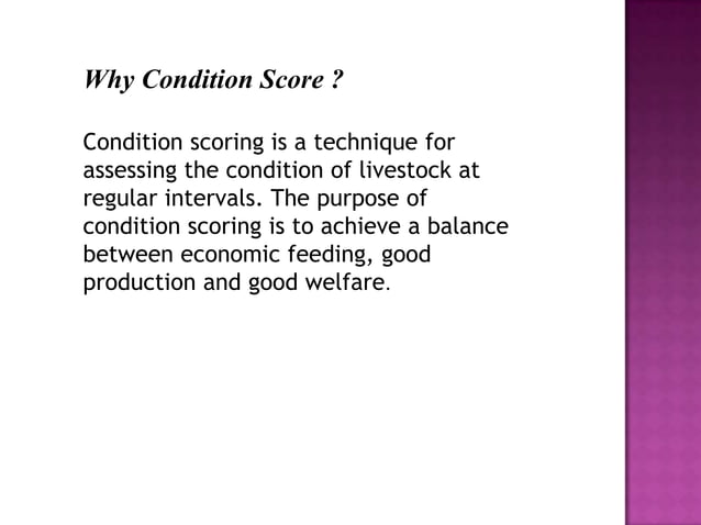 Body condition score 3 | PPTX | Bodybuilding | Sports