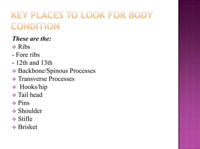 Body condition score 3 | PPTX | Bodybuilding | Sports