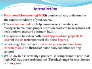 BODY CONDITION SCORE (BCS) OF HORSE | PDF