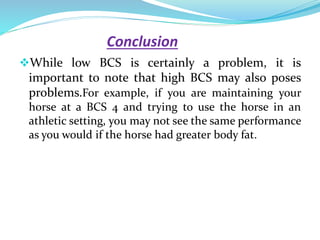 BODY CONDITION SCORE (BCS) OF HORSE | PDF