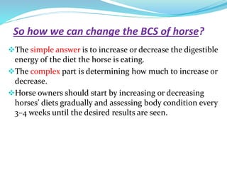 BODY CONDITION SCORE (BCS) OF HORSE | PDF