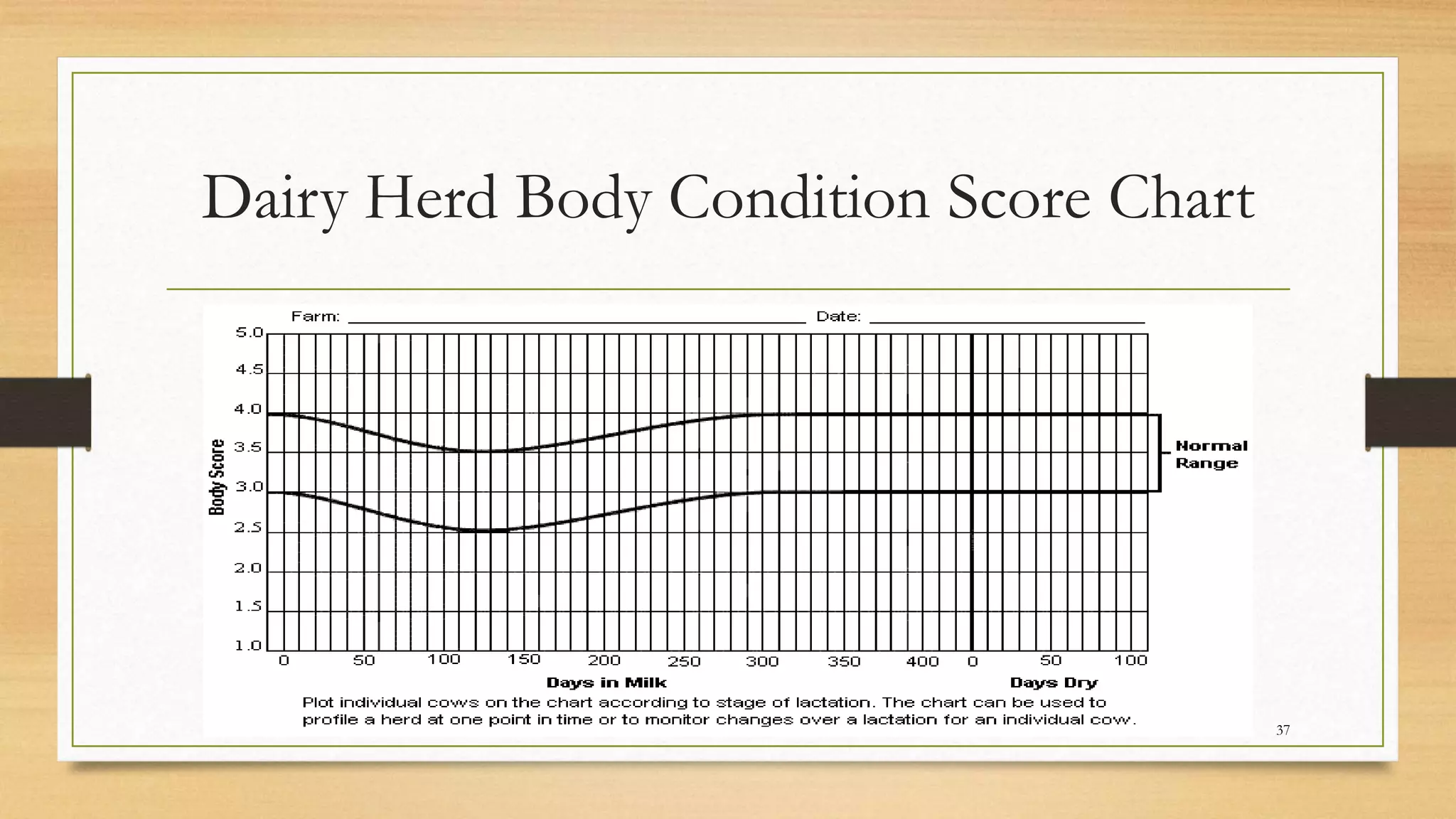 Body condition scoring (bcs) | PPTX