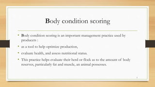 Body condition scoring (bcs) | PPTX