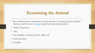 Body condition scoring (bcs) | PPTX