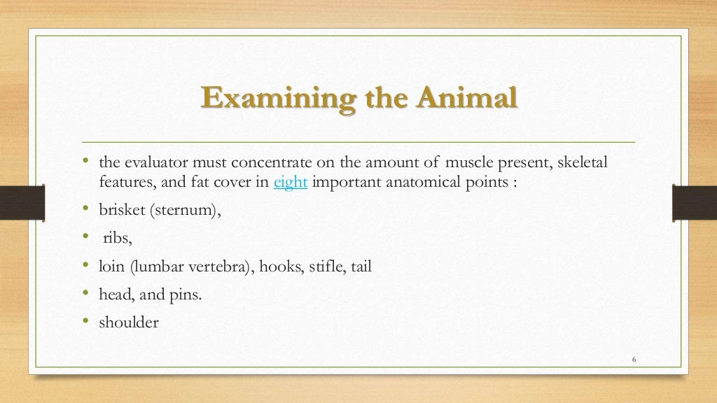 Body condition scoring (bcs)