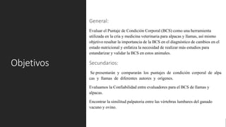 Body condition scoring in alpacas (Vicugna pacos.pptx