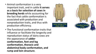 body conformation and identification lec 4 & 5.pdf