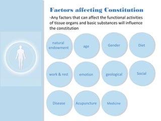 Body consitutions in TCM | PPT