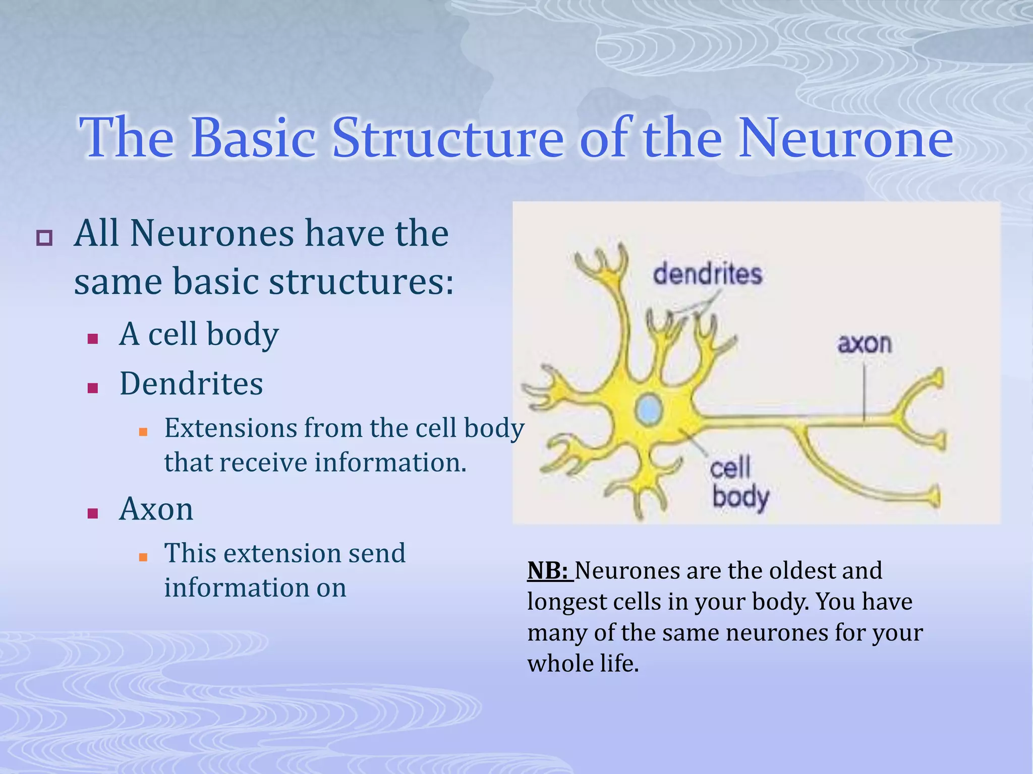 Body control systems | PPTX