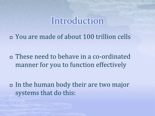 Body control systems | PPTX