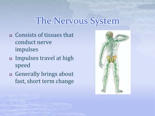 Body control systems | PPTX