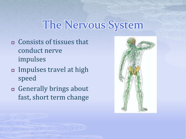 Body control systems | PPTX