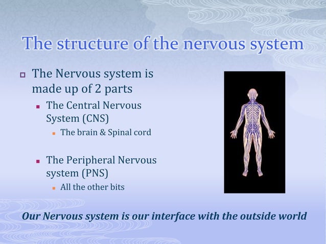 Body control systems | PPTX