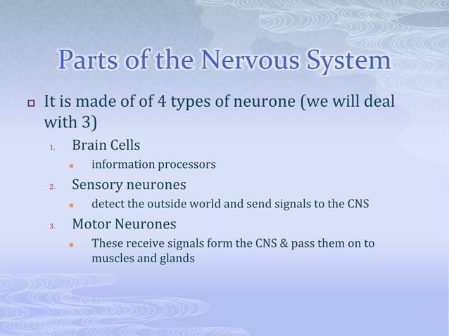 Body control systems | PPTX