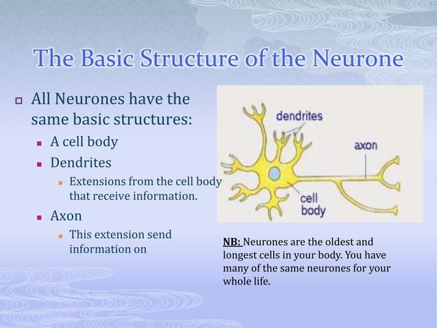 Body control systems | PPTX