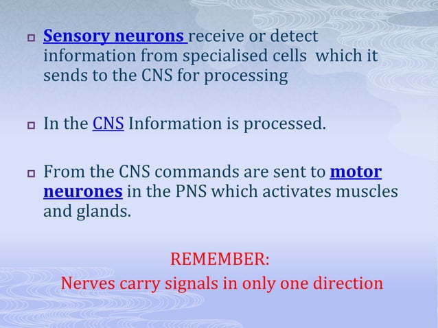 Body control systems | PPTX